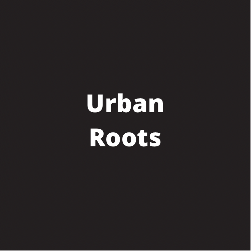 Urban Roots (Restaurant) - Leicester Food